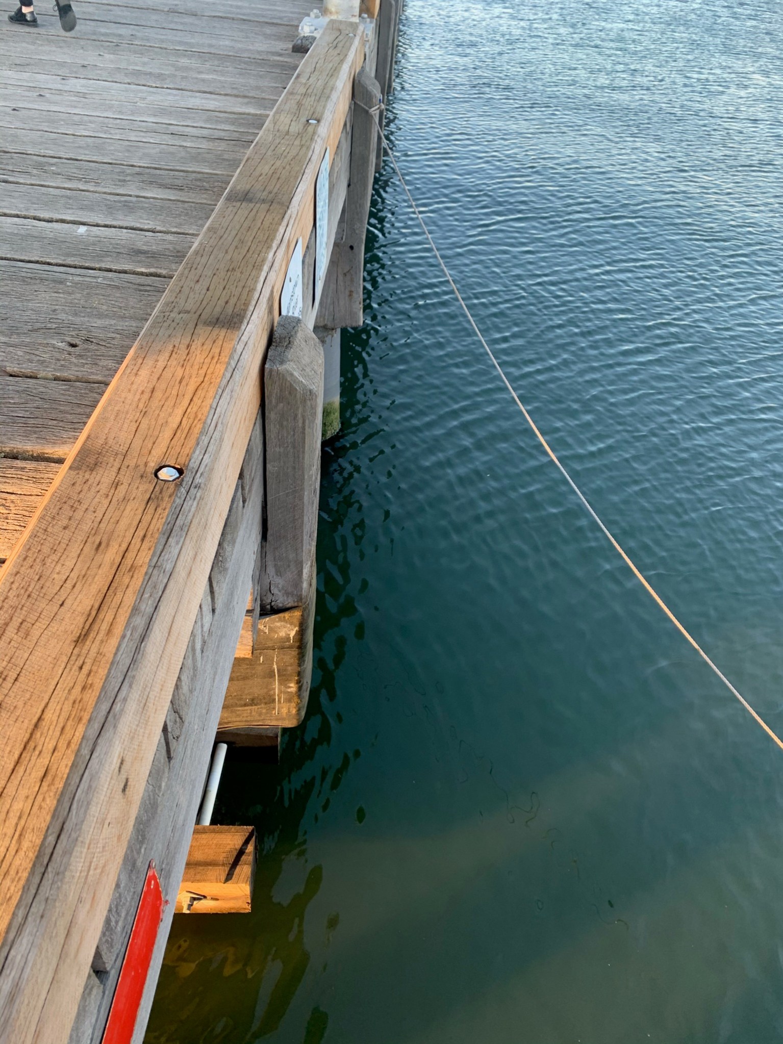 Gem Pier Fender Replacement – sureside consulting pty. ltd.