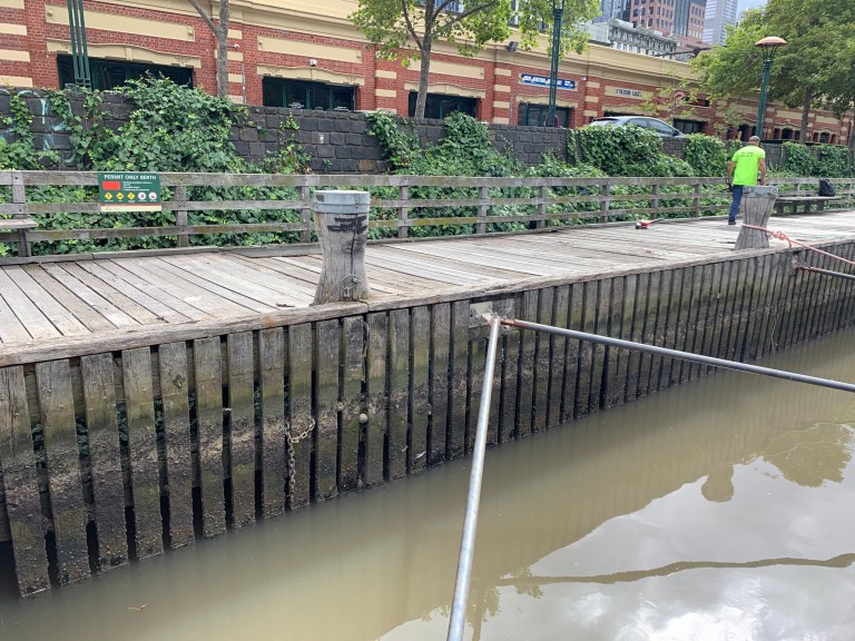 Banana Alley Pontoon Connection Review – sureside consulting pty. ltd.